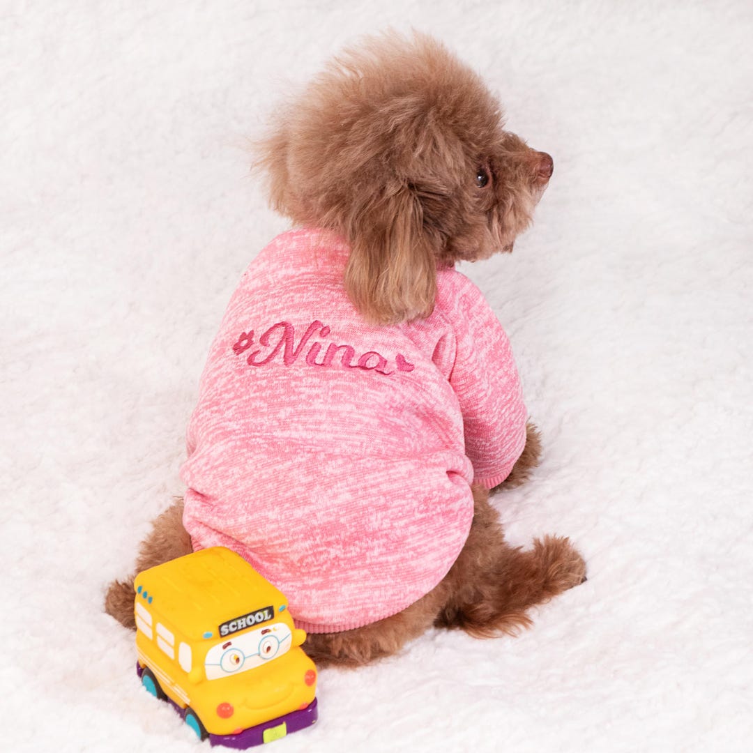 Personalized Dog Clothes With Name Spring Puppy Clothes Embroidered ...