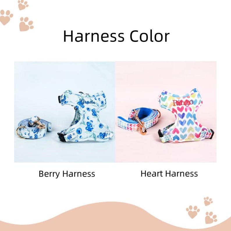 Personalized Dog Harness With Name Embroidered Dog Harness and Leash ...