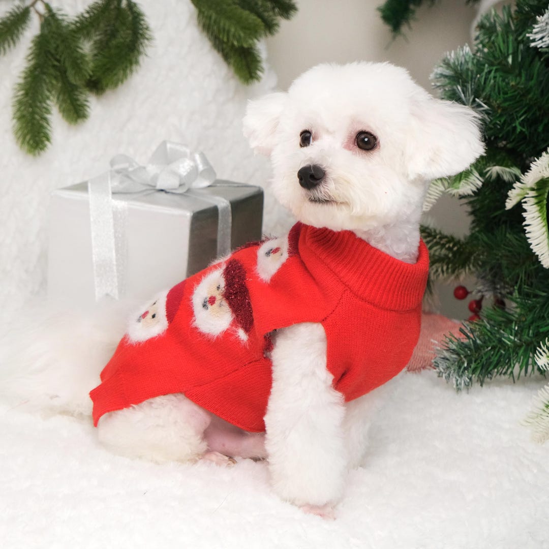 Dog Christmas Sweater Personalized Dog Sweater Embroidered Pet Sweater ...