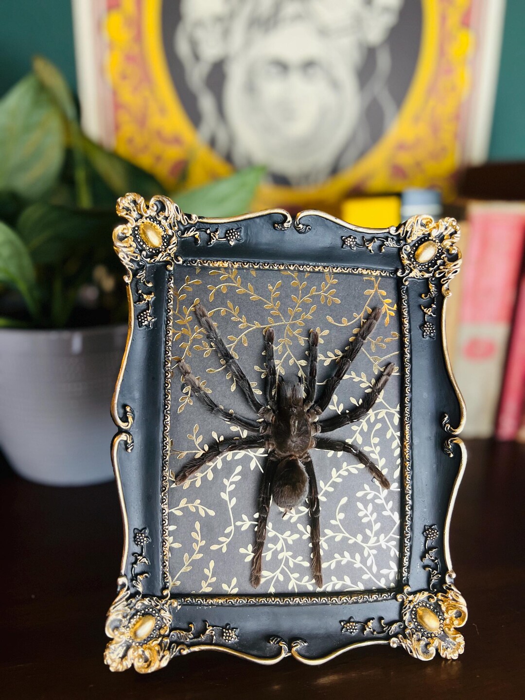 Real Framed Tarantula Black & Gold Antique Vintage Resin Frame Insect ...