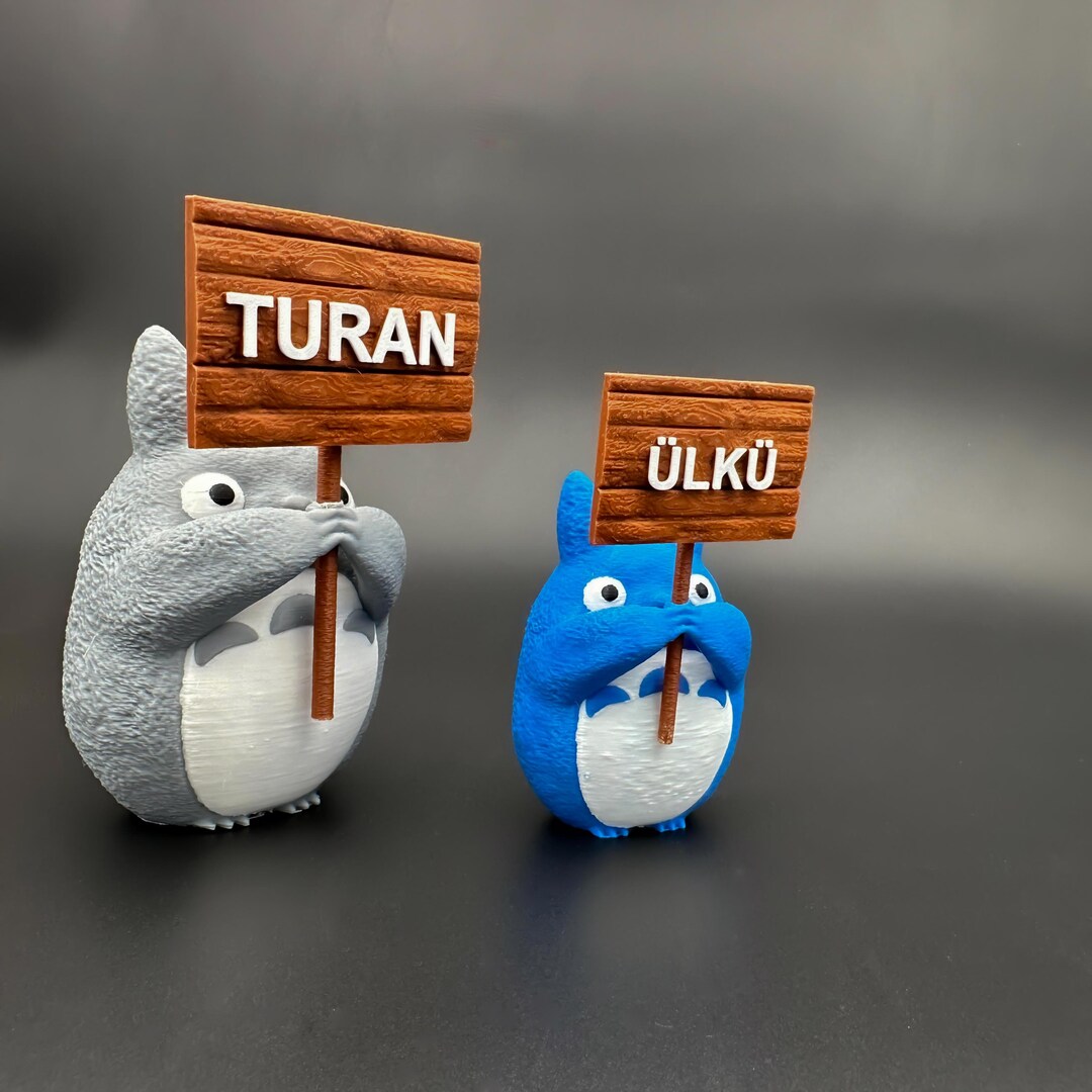 Personalized Totoro Figures, Adorable Name Plate Decor and Unique ...