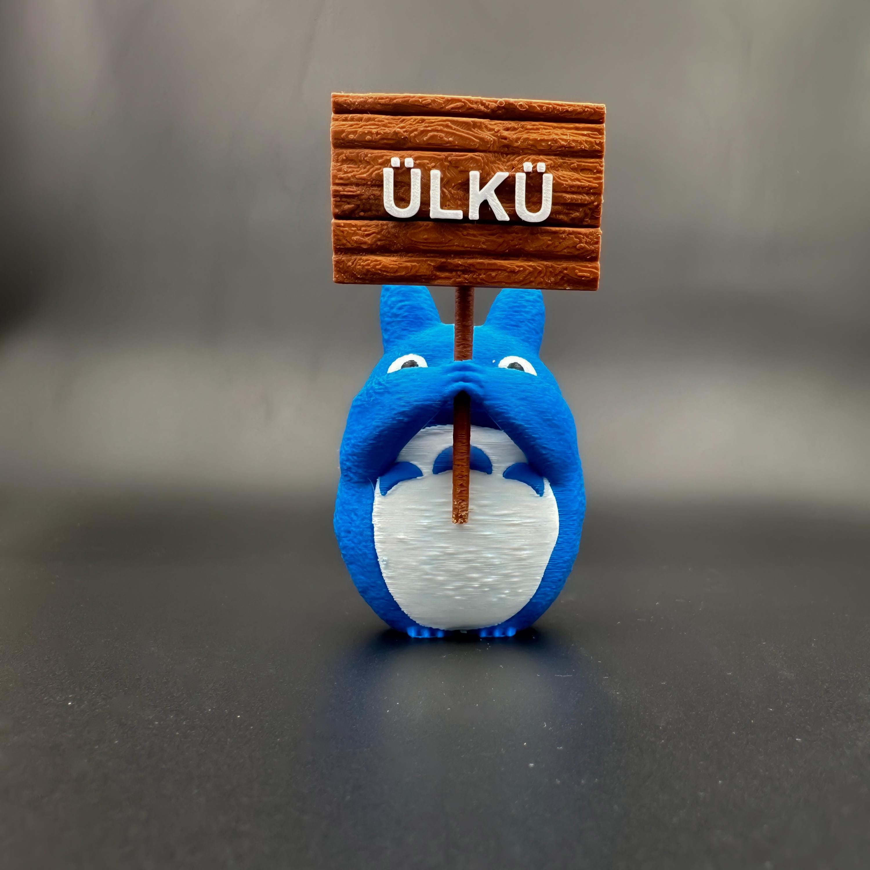 Personalized Totoro Figures, Adorable Name Plate Decor and Unique ...