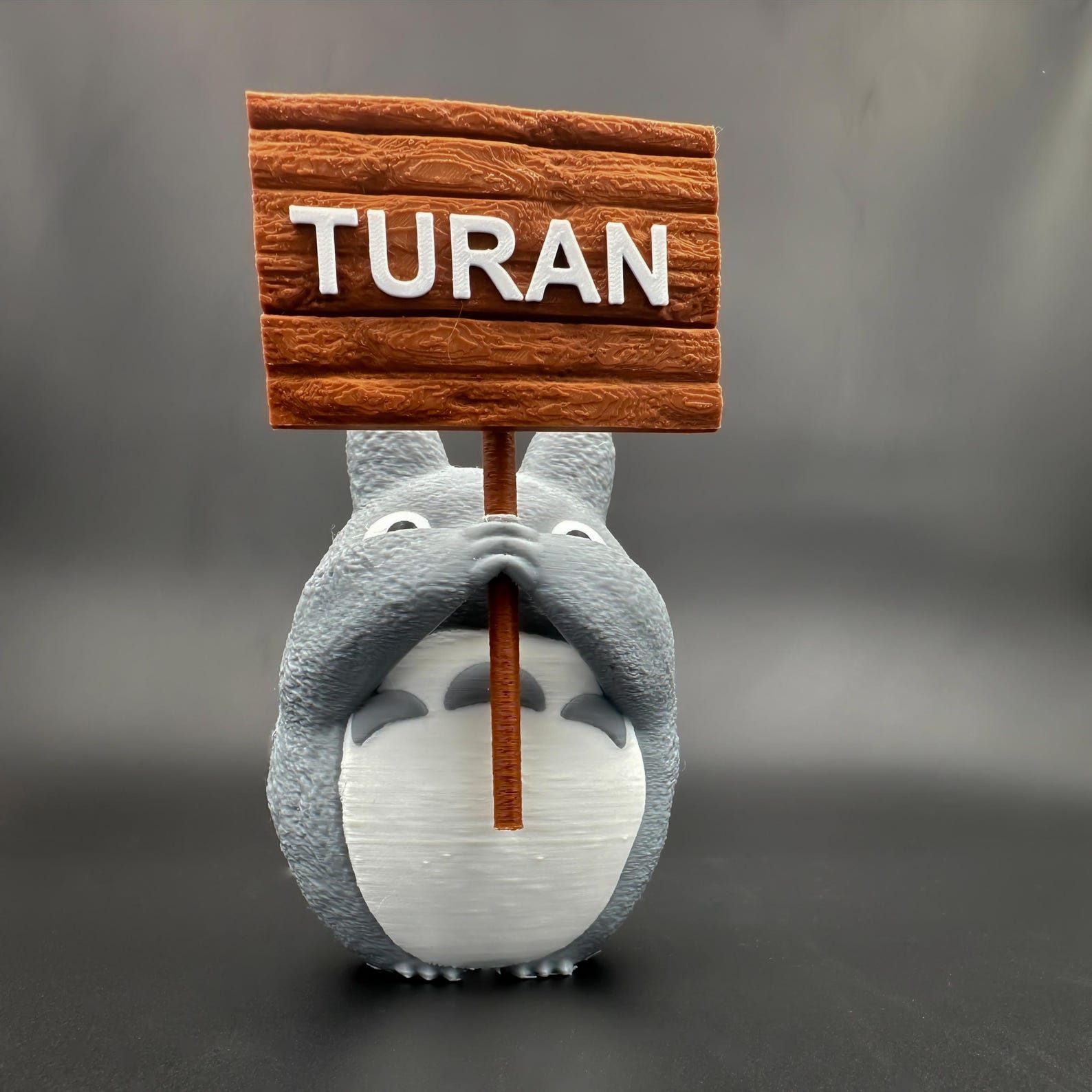 Personalized Totoro Figures, Adorable Name Plate Decor and Unique ...