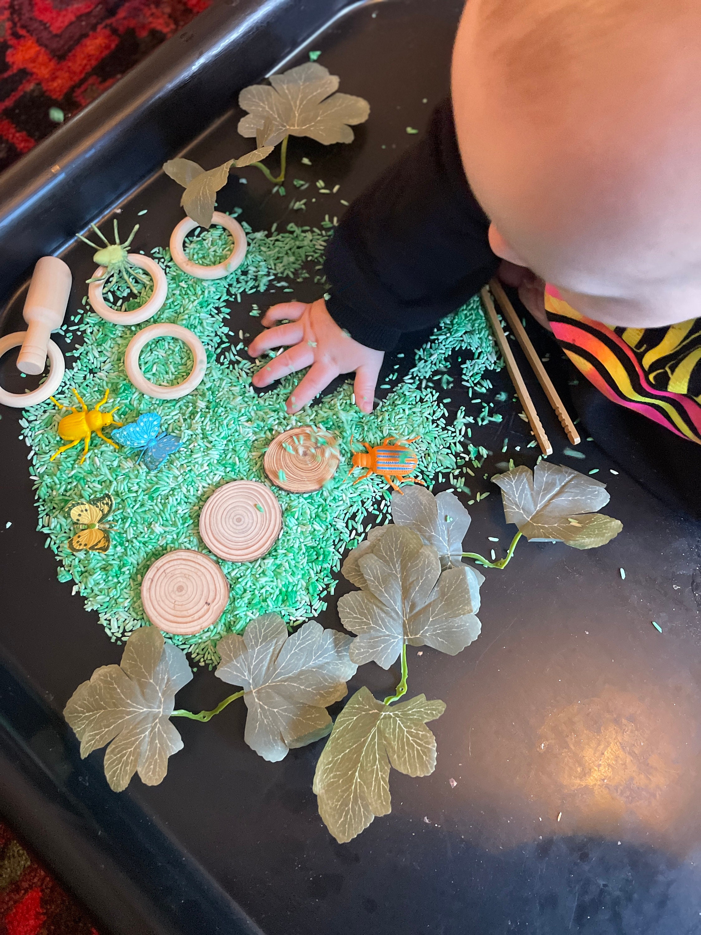 The Inpects Kit Bug/insect Theme Sensory Tuff Tray Pour & Play Kit ...