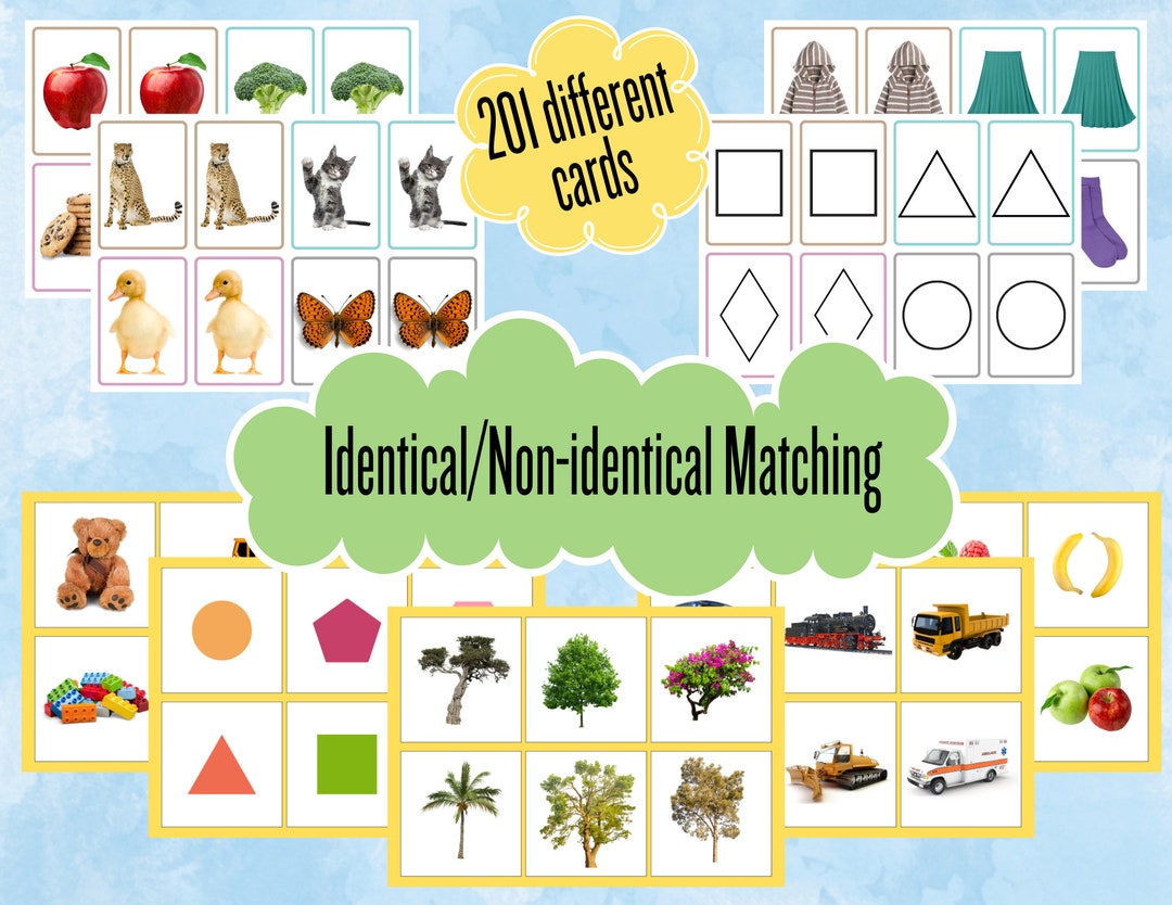 Identical and Non-identical Matching Cards - Etsy
