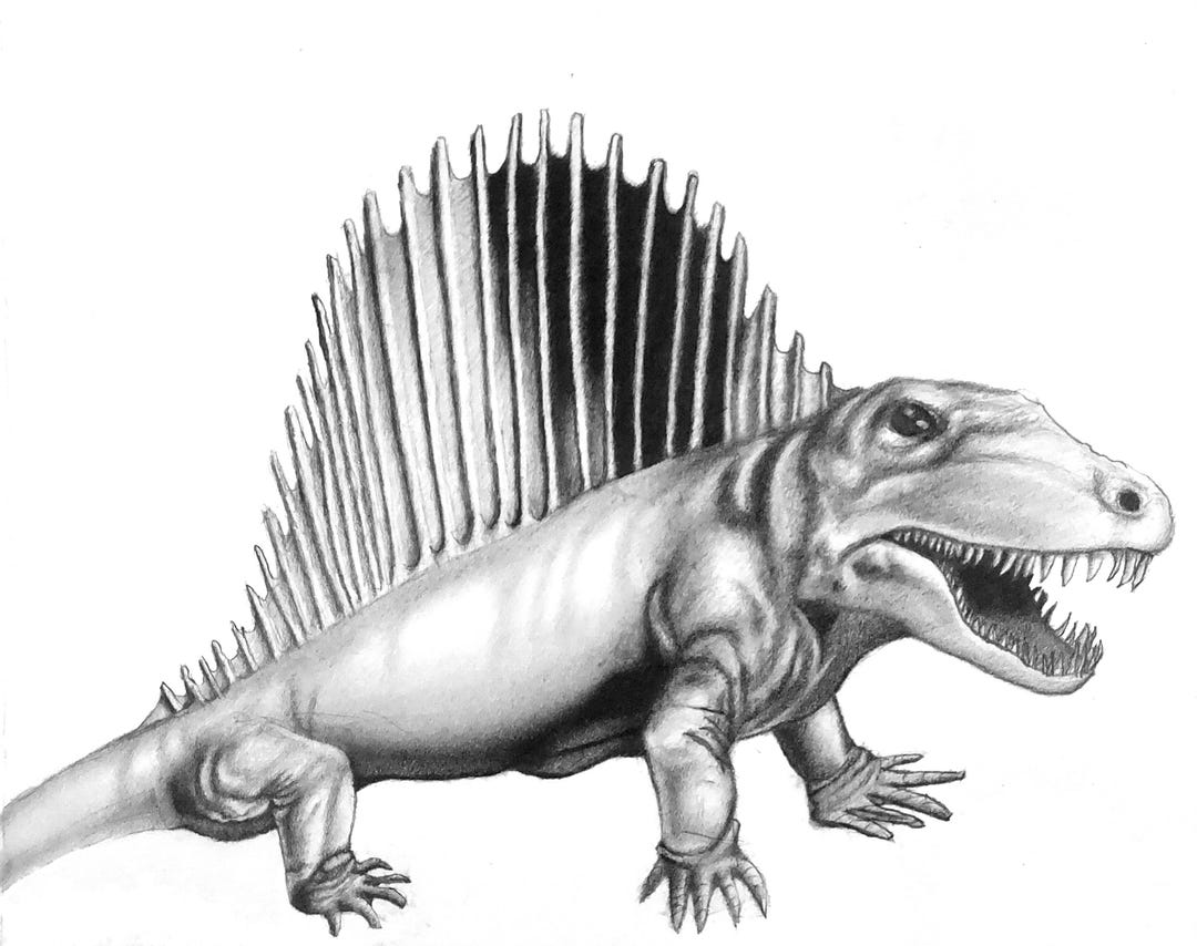 Dimetrodon - Original Art Print Poster - Etsy
