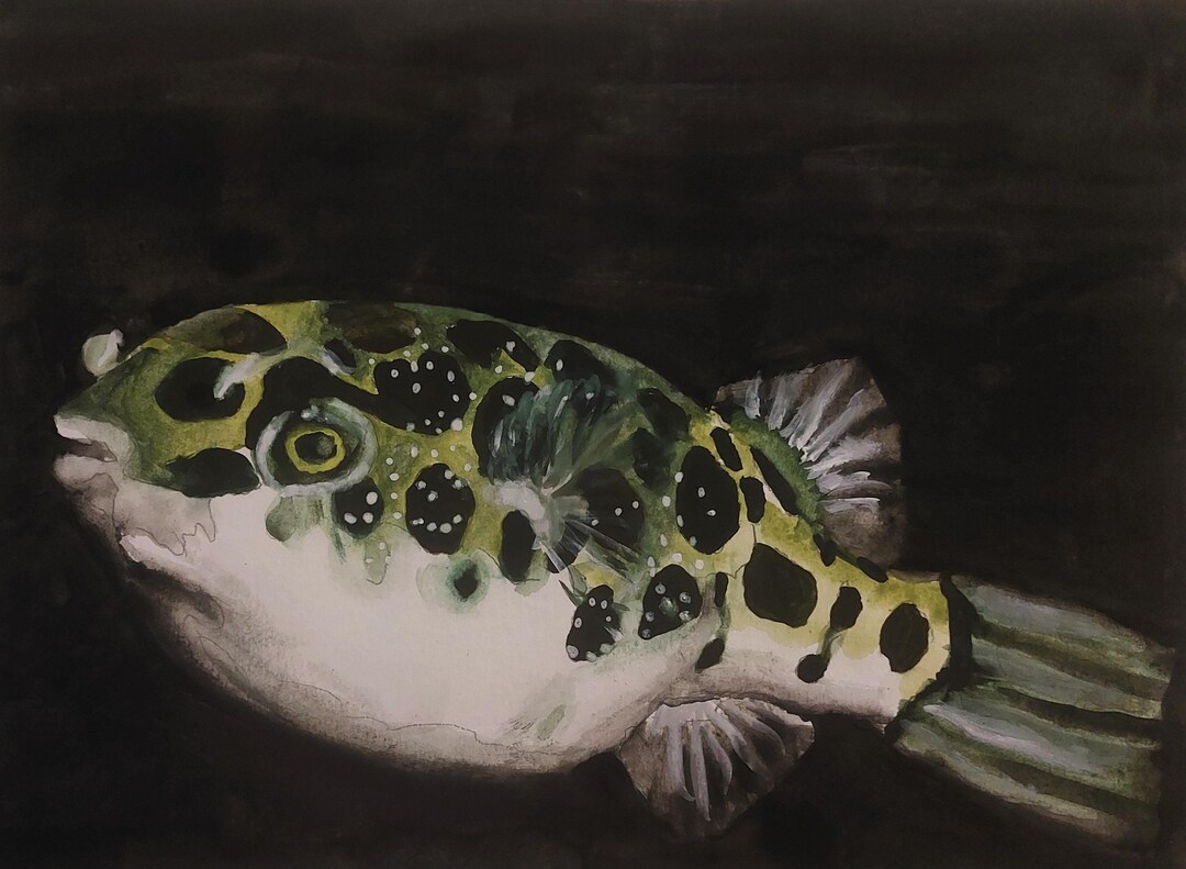 Pufferfish-original Fish Painting-watercolor on Paper by Walter Gordon ...