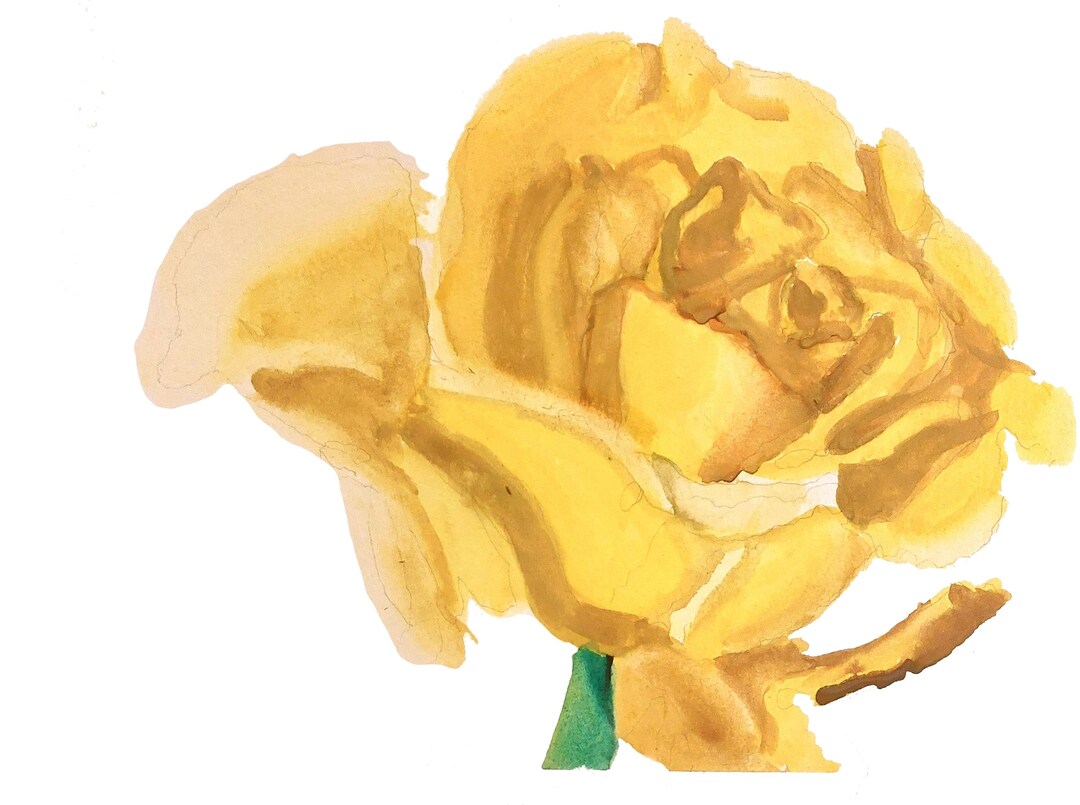 Yellow Rose Original Watercolor - Etsy