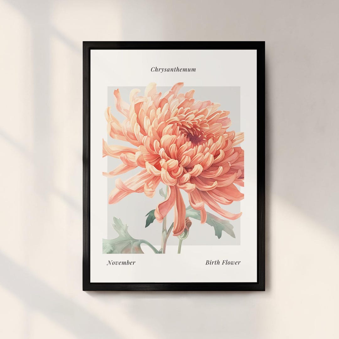 Chrysanthemum Birth Month Flower Poster November Floral Art Print in ...