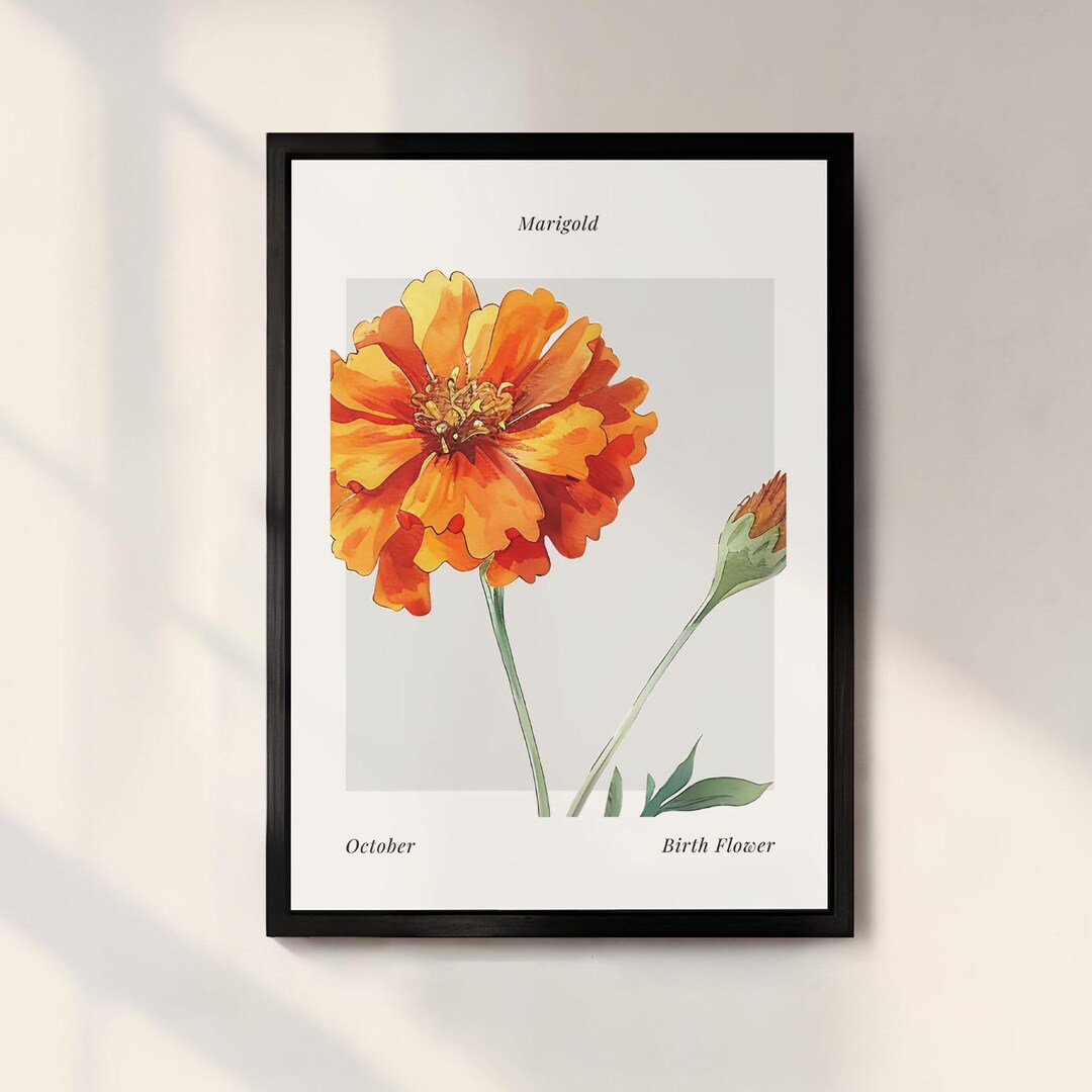 Marigold Birth Month Flower Poster October Floral Art Print in Elegant ...