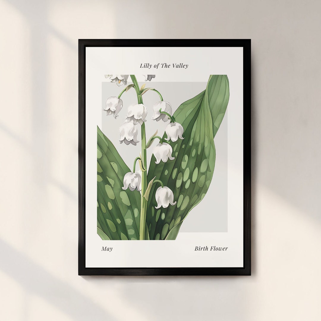 Lilly of the Valley Birth Month Flower Poster May Floral Art Print in ...
