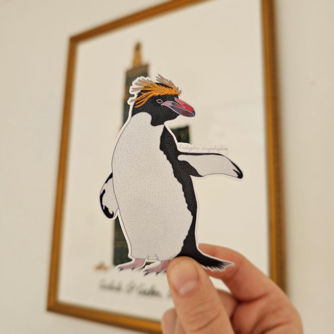 Macaroni Penguin Sticker, Penguin Sticker, Bird Sticker, 4in Tall ...