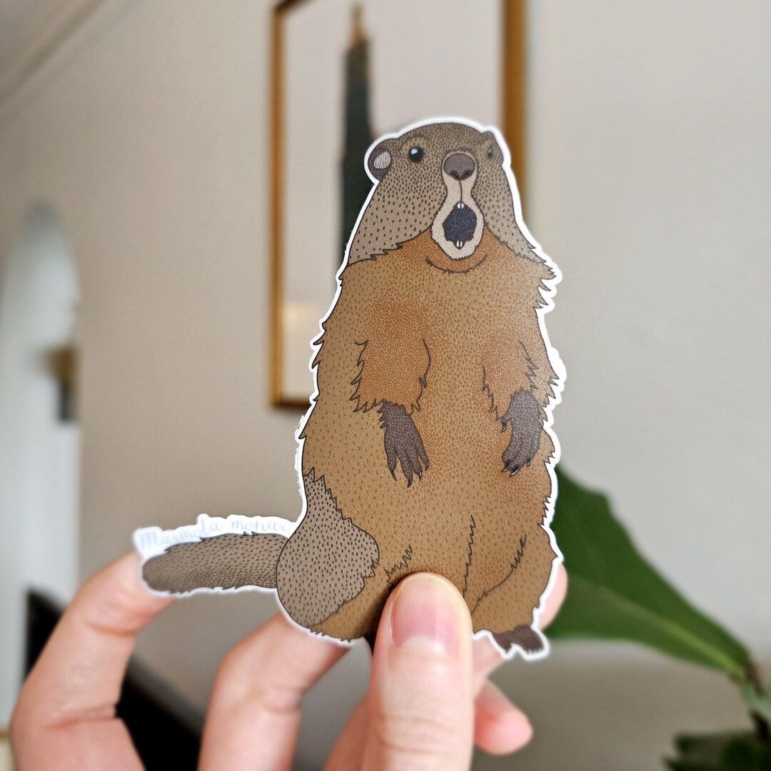 Groundhog Sticker, Woodchuck Sticker, Squirrel Sticker, 4in Tall ...