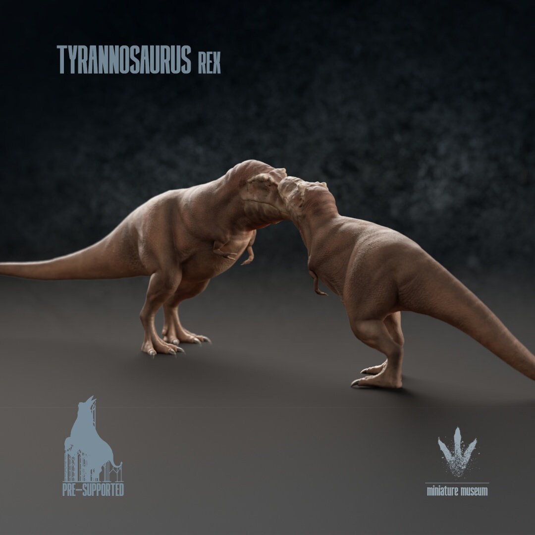 Dinosaur Couple of Tyrannosaurus Rex, Dinosaur Figurine to Paint ...