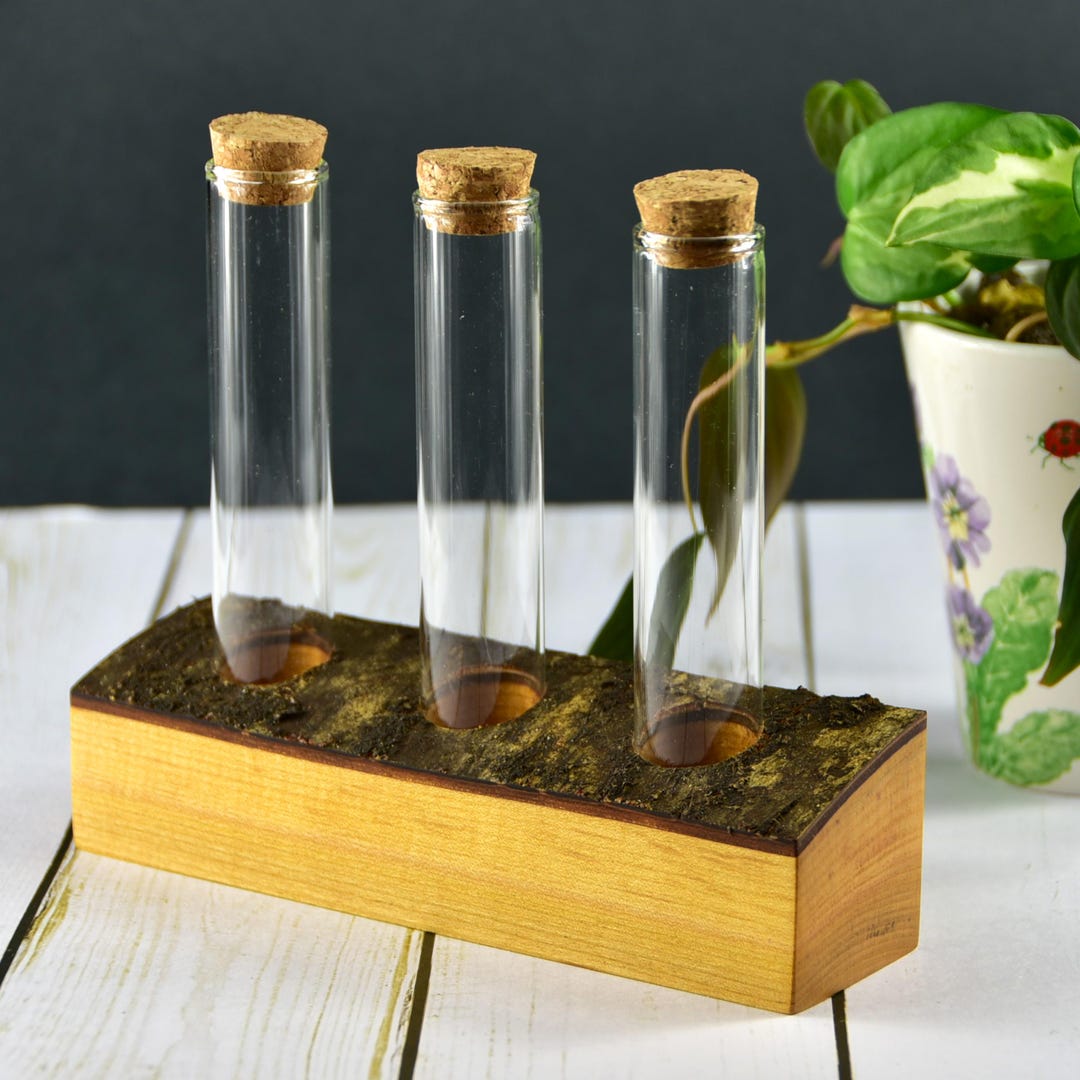 Plant Propagation Station, Live-edge, Real Wood, Propagation Planter ...