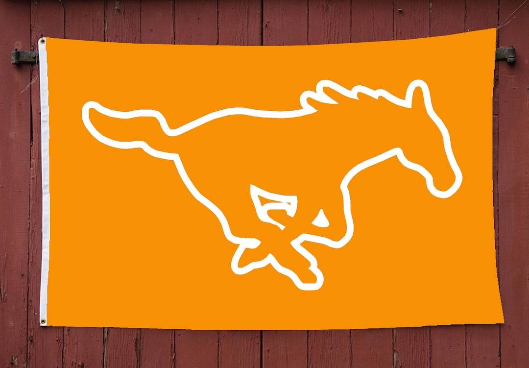 Mustangs Orange 3' X 5' High School Mascot Polyester Flag - Etsy