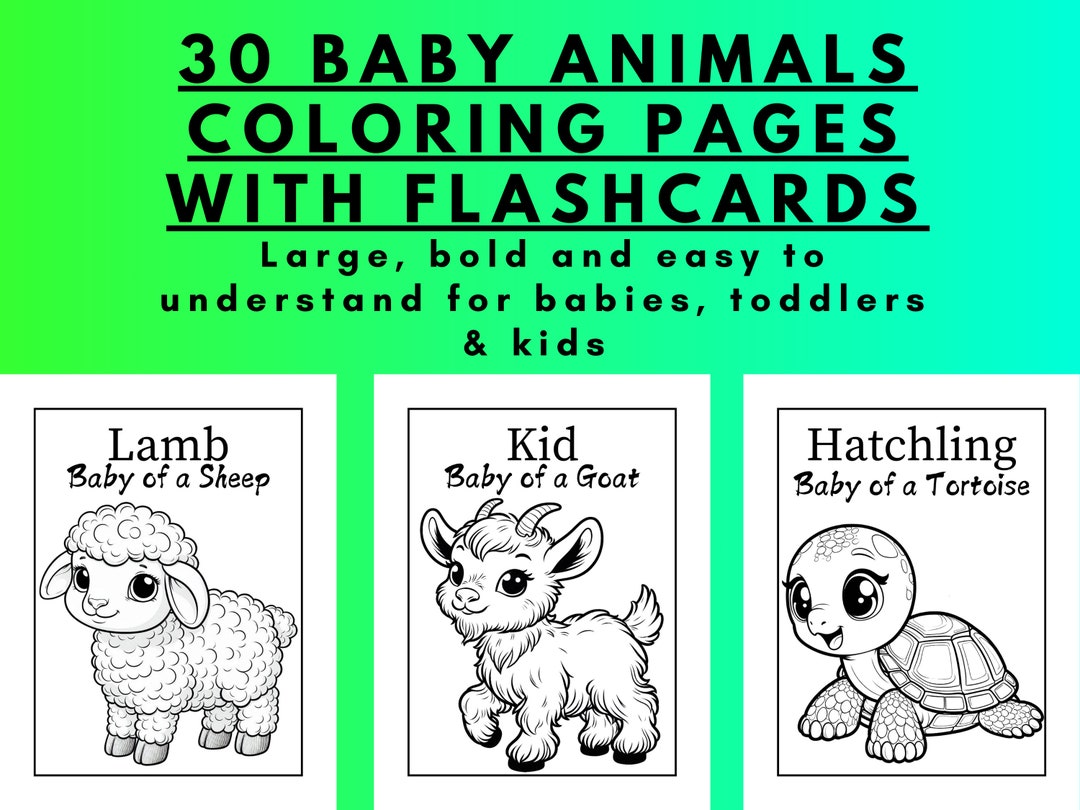 30 Baby Animals Coloring Pages With Flashcards for Babies Toddlers and ...