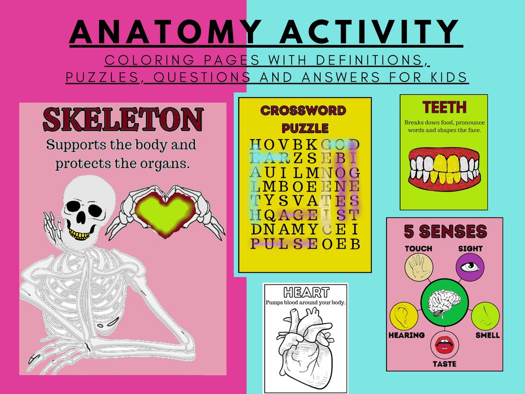 100 Anatomy Activity Coloring Pages With Definitions, Puzzles ...