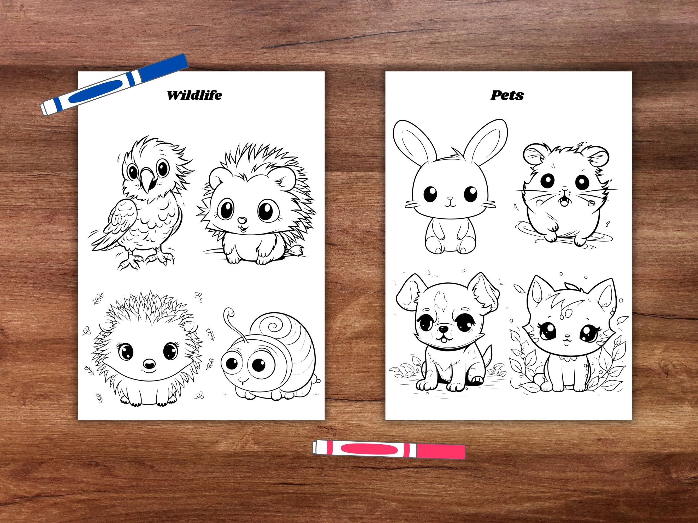Animal Themed Colouring Pages, Colour in Sheets, Colours for Kids - Etsy