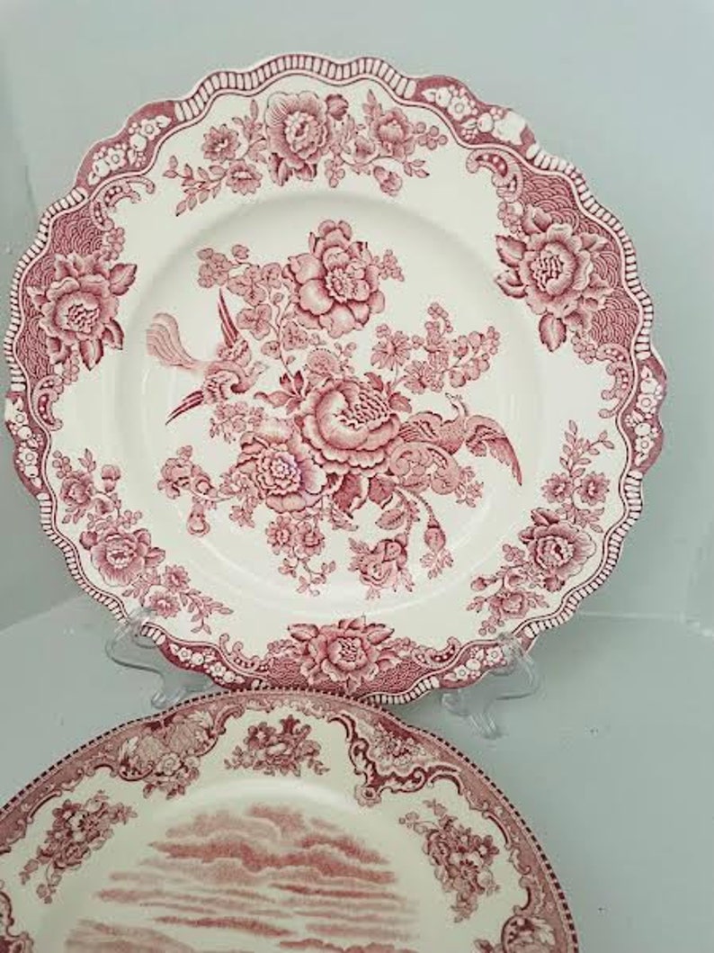 Vintage Dinner Plates 10 & Salad Plates 8 Johnson Bros England 1883 Old ...