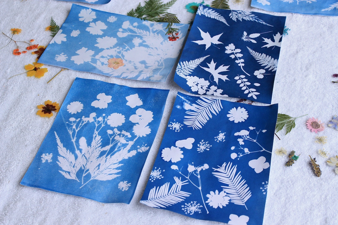Cyanotype Sun Prints Photo Craft Gifts to Make DIY Solar Printing Craft ...