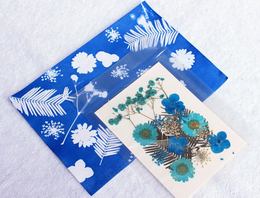 Craft Kit Cyanotype Sun Prints DIY Solar Printing Photo Craft Gifts to ...