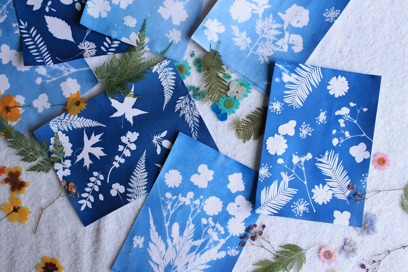 Cyanotype Sun Prints Photo Craft Gifts to Make DIY Solar Printing Craft ...