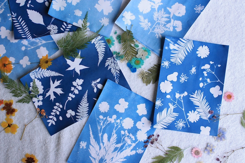 Cyanotype Sun Prints Photo Craft Gifts to Make DIY Solar Printing Craft ...