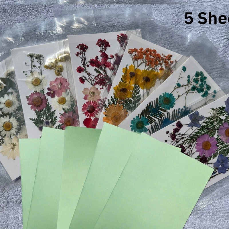 Sun Craft Kit Botanical - Etsy