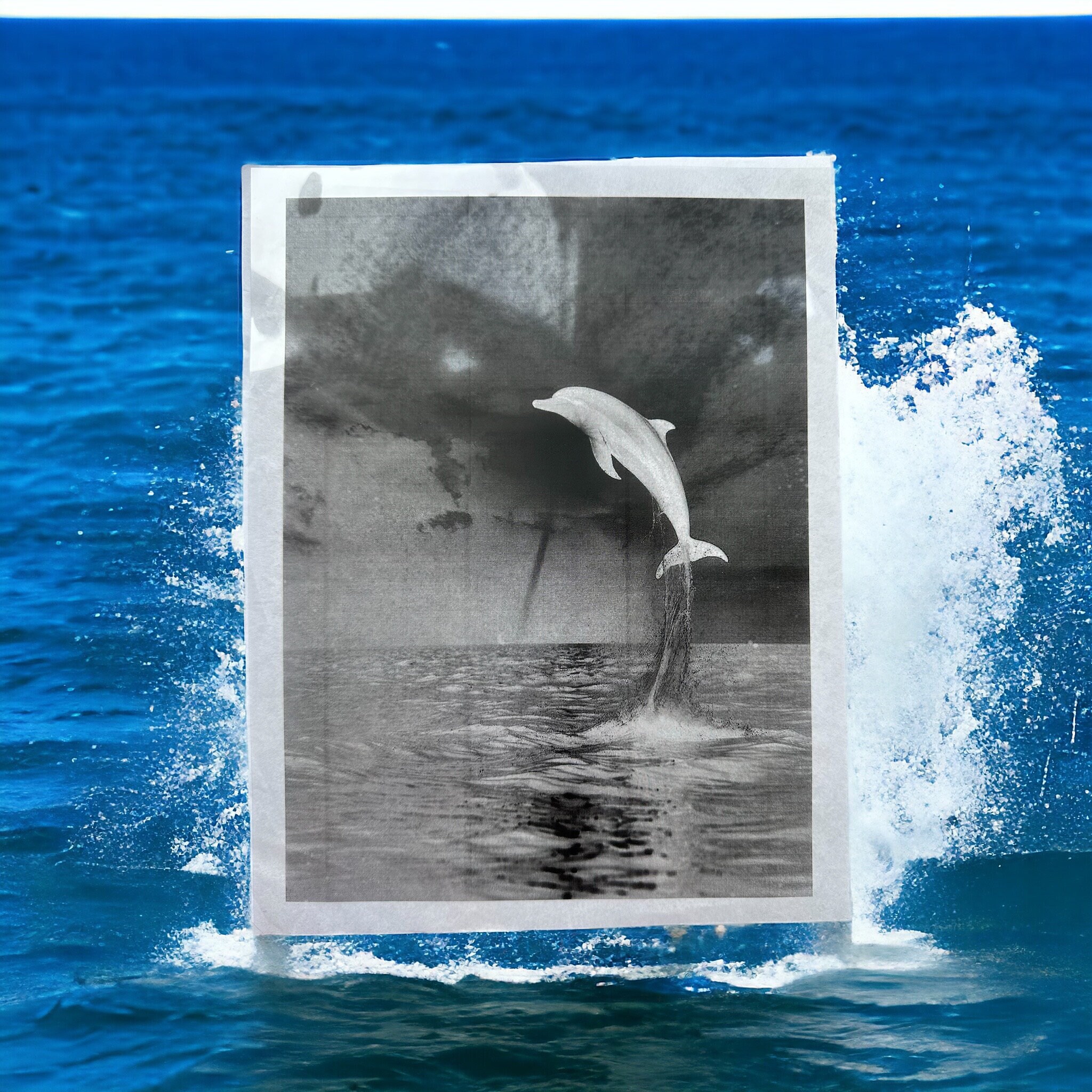 Cyanotype Stencils DIY Crafts Transparent Print Kit With Stencil Solar ...