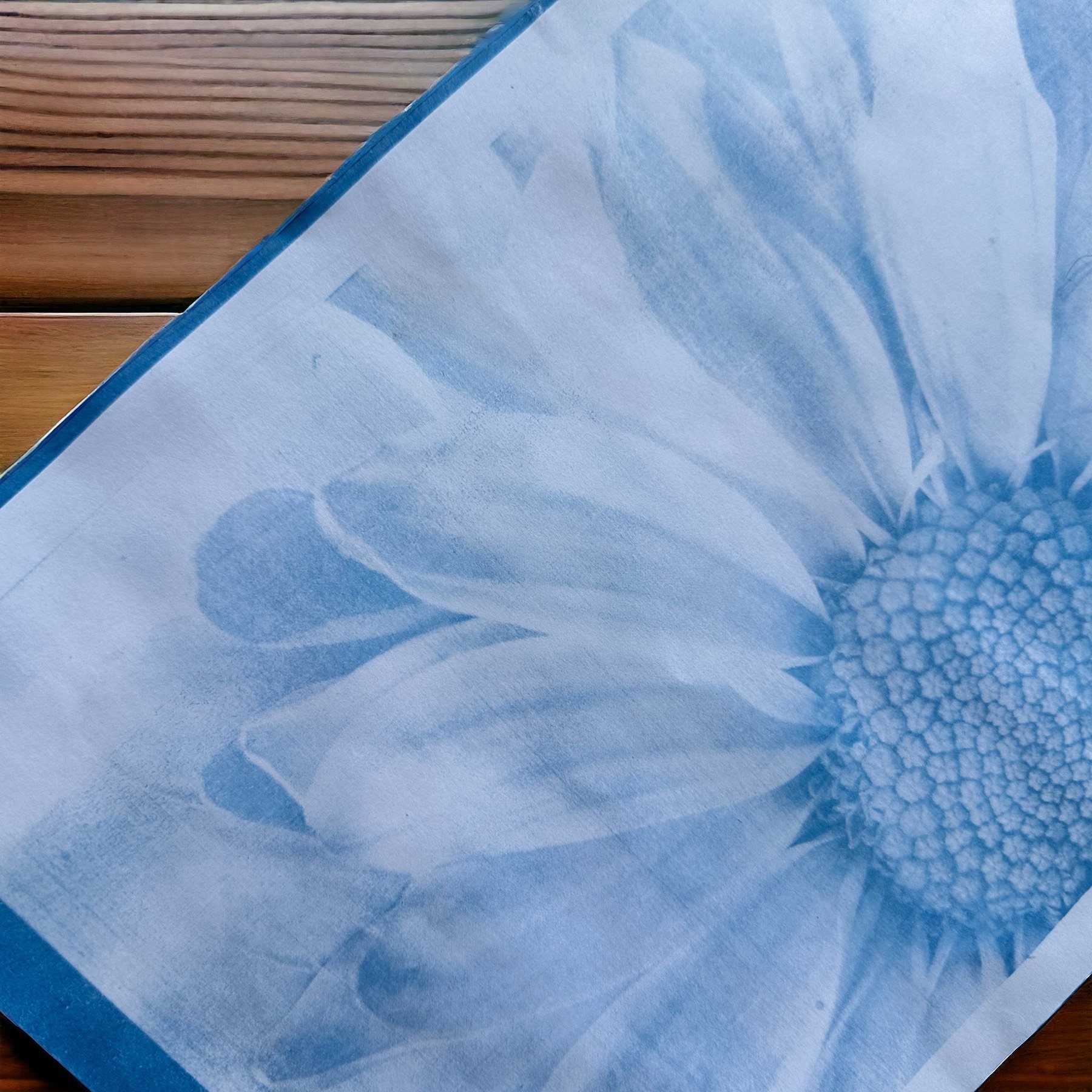 Cyanotype Stencils DIY Crafts Transparent Print Kit With Stencil Solar ...