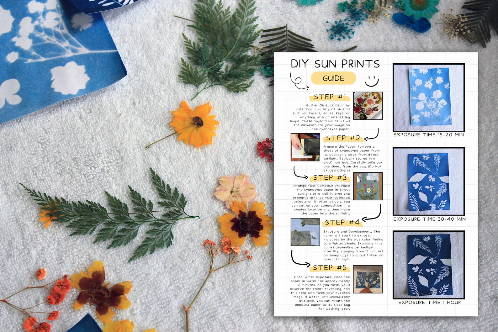 Cyanotype Sun Print Kit: DIY Solar Printing With Flowers & Ferns - Etsy