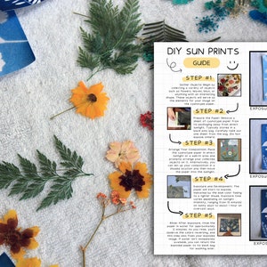 Cyanotype Sun Prints Photo Craft Gifts to Make DIY Solar Printing Craft ...