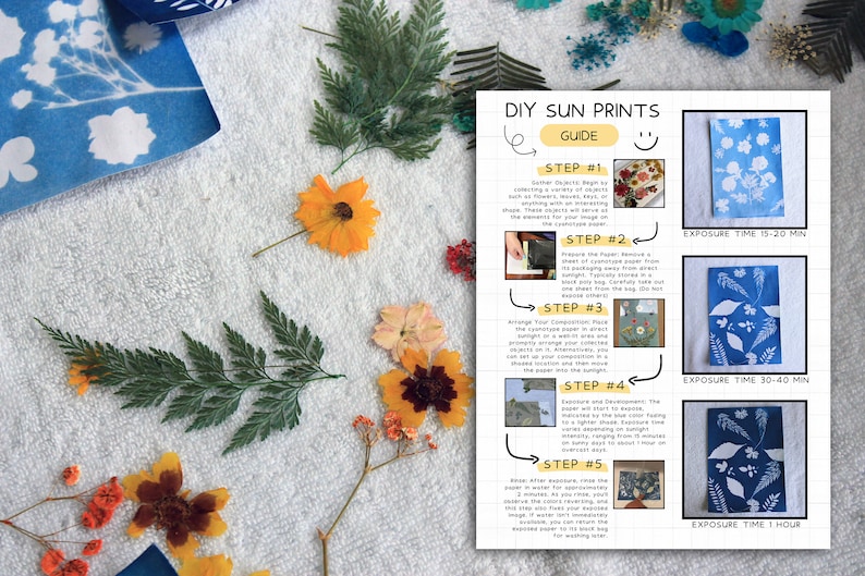 Cyanotype Sun Prints Photo Craft Gifts to Make DIY Solar Printing Craft ...