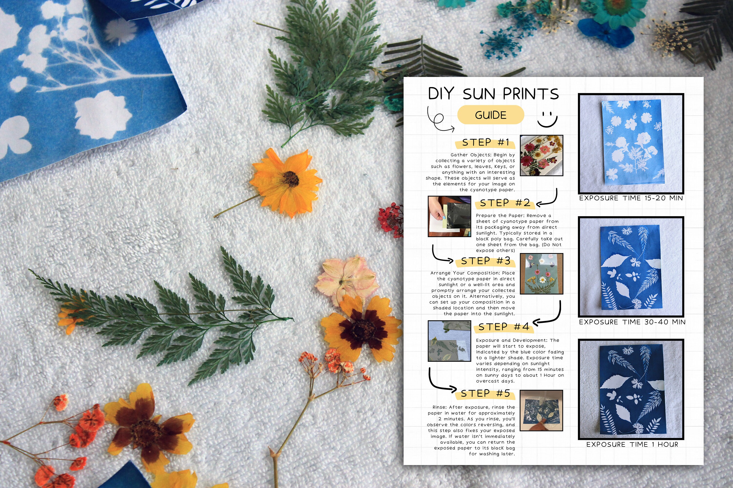 Cyanotype Sun Prints Photo Craft Gifts to Make DIY Solar Printing Craft ...