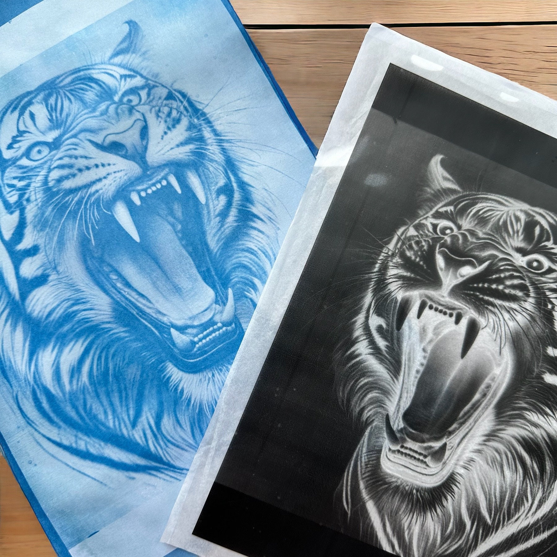 Cyanotype Stencils DIY Crafts Transparent Print Kit With Stencil Solar ...