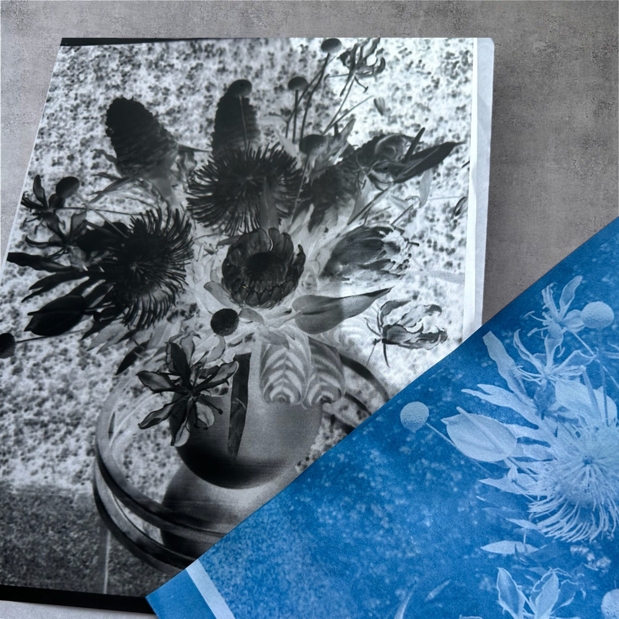 Cyanotype Stencils DIY Crafts Transparent Print Kit With Stencil Solar ...