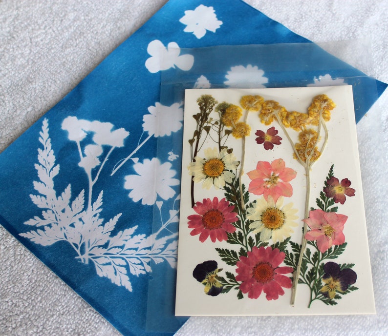 DIY Solar Printing Craft Kit Cyanotype Sun Prints Photo Craft Gifts to ...