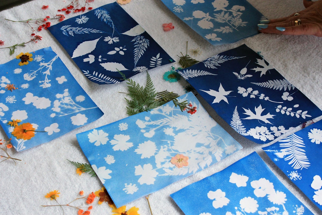 Cyanotype Craft Kit: DIY Sun Prints With Botanicals - Etsy