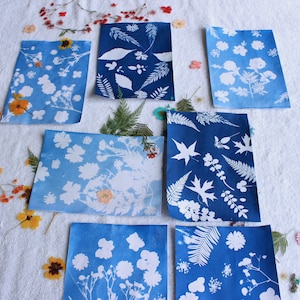 Cyanotype Sun Prints Photo Craft Gifts to Make DIY Solar Printing Craft ...