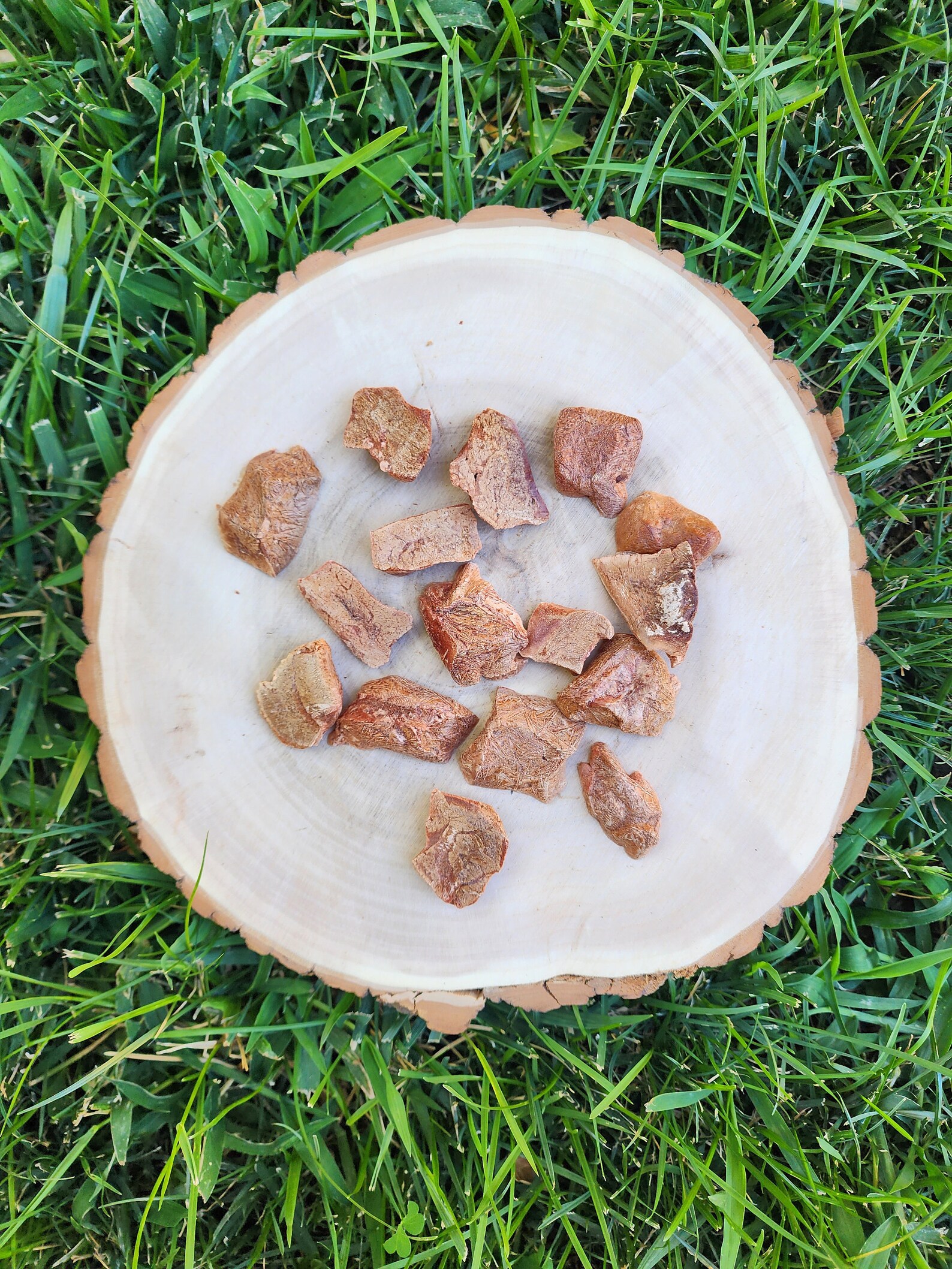 Freeze-dried/dehydrated Beef Liver - Etsy