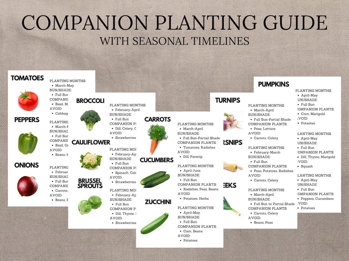 Companion Planting Guide, Garden Planting Chart, Plant Planner ...