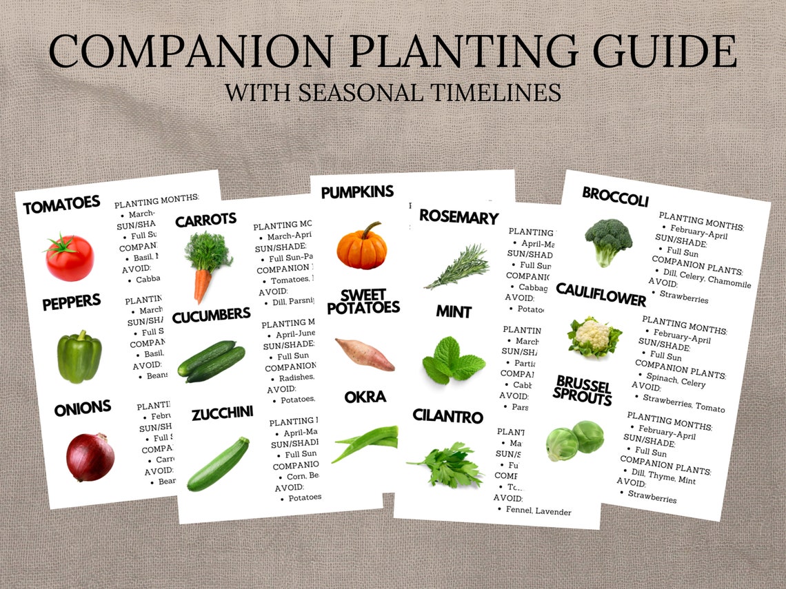 Companion Planting Guide, Garden Planting Chart, Plant Planner ...