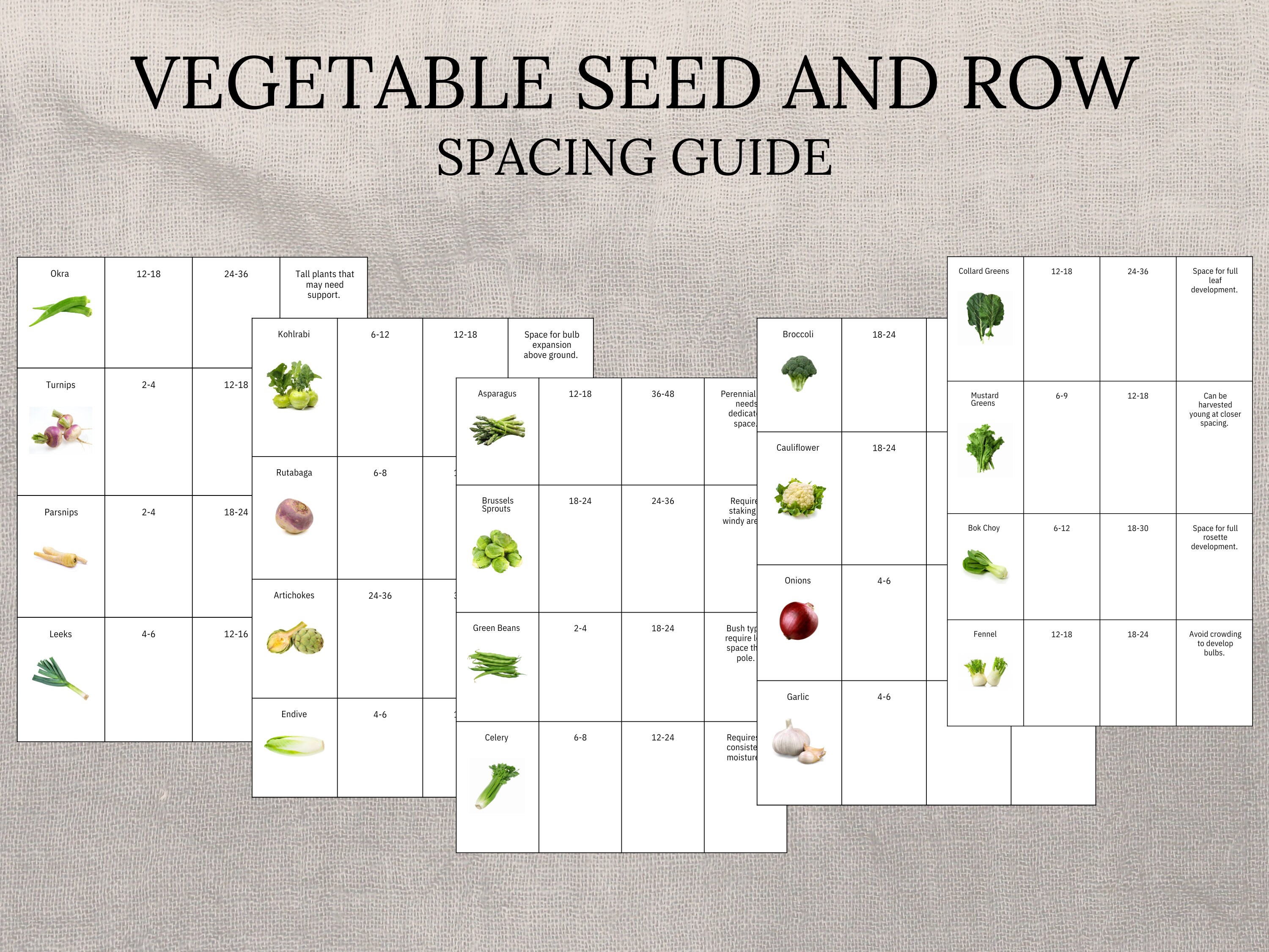 Vegetable Plant and Seed Spacing Guide, Printable Garden Planner ...