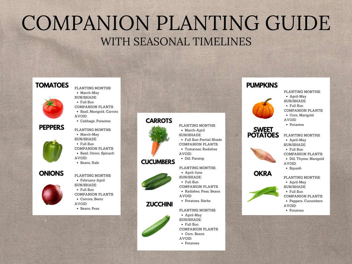 Companion Planting Guide, Garden Planting Chart, Plant Planner ...