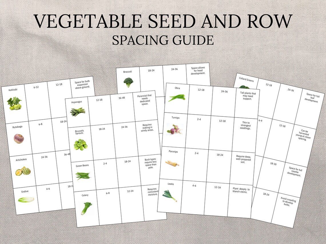 Vegetable Plant and Seed Spacing Guide, Printable Garden Planner ...