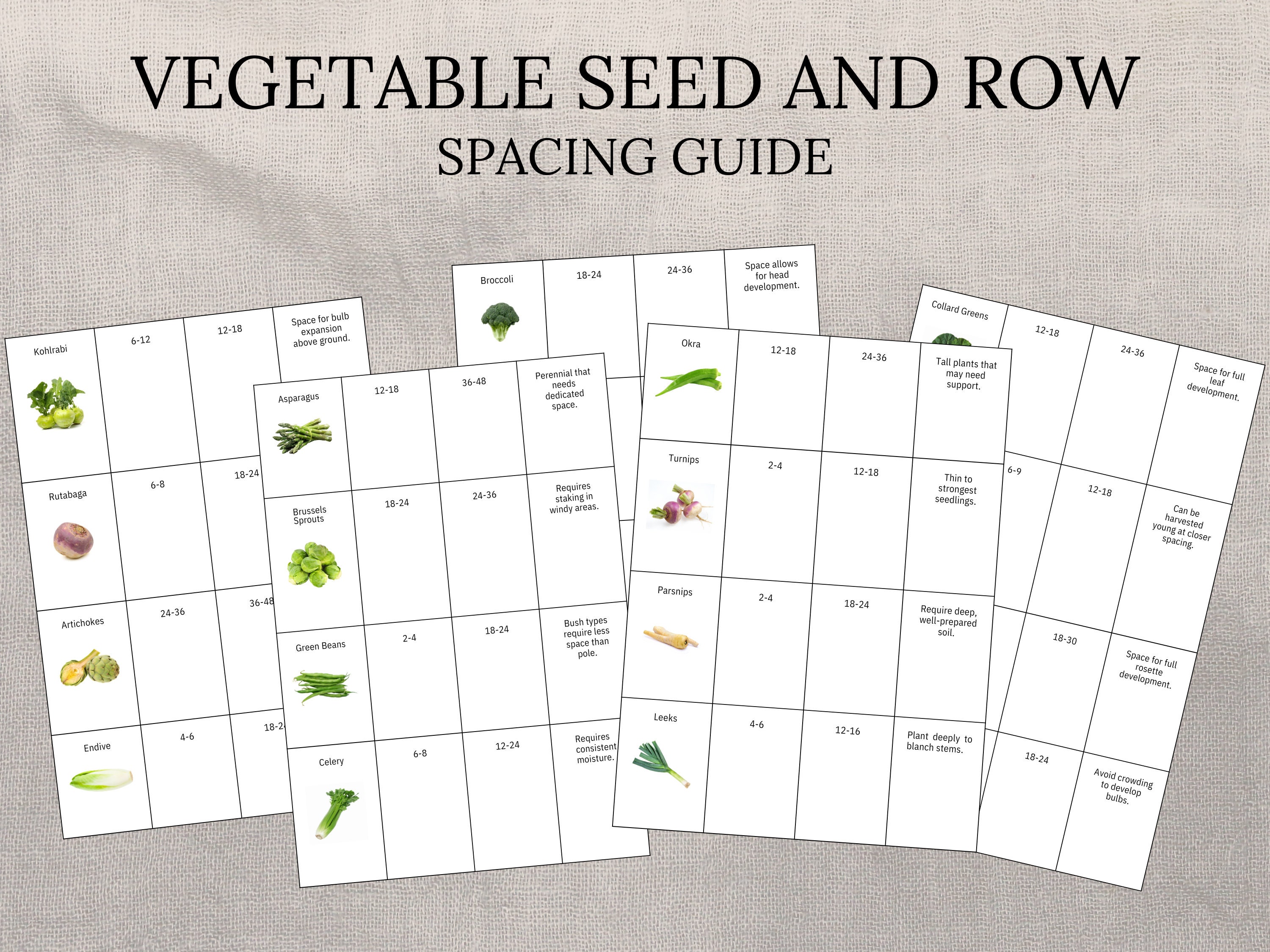 Vegetable Plant and Seed Spacing Guide, Printable Garden Planner ...