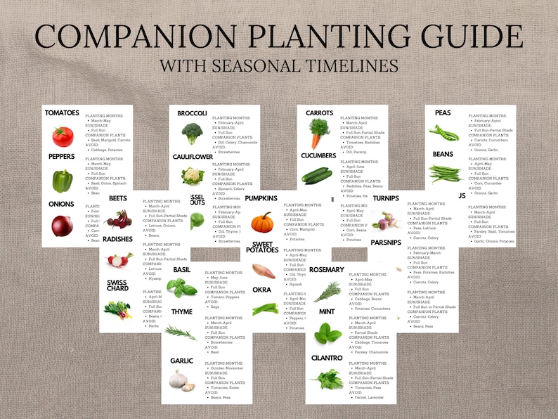 Companion Planting Guide, Garden Planting Chart, Plant Planner ...
