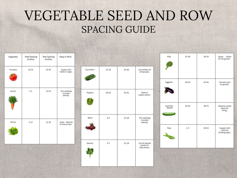 Vegetable Plant and Seed Spacing Guide, Printable Garden Planner ...