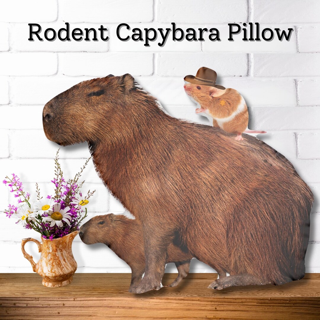 Rodent Capybara Funny Pillow, Stuffed Animal Cute Capybara Cowboy Mouse ...